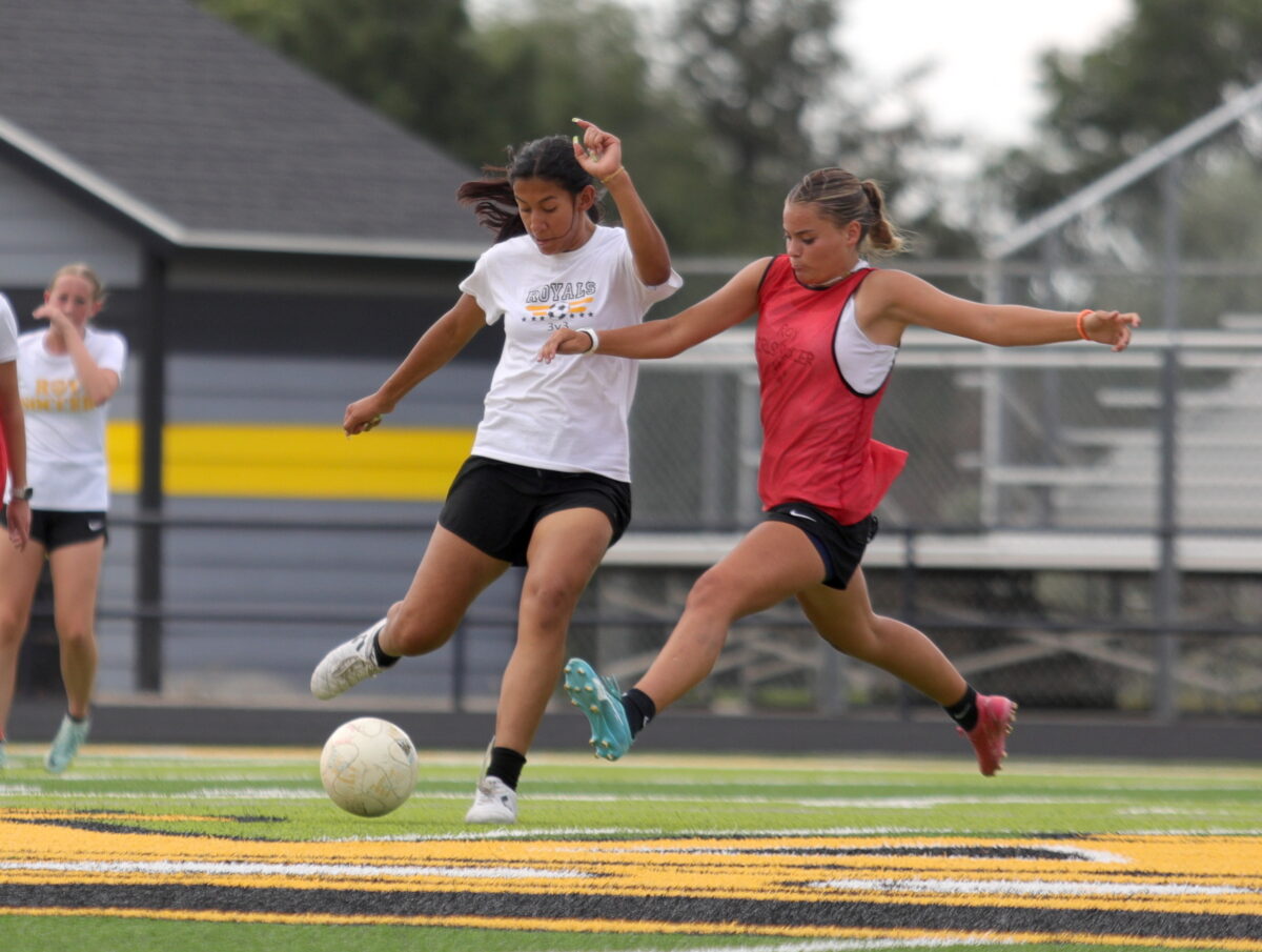 Girls soccer preview: Roy looking forward to the ‘great challenge’ of ...